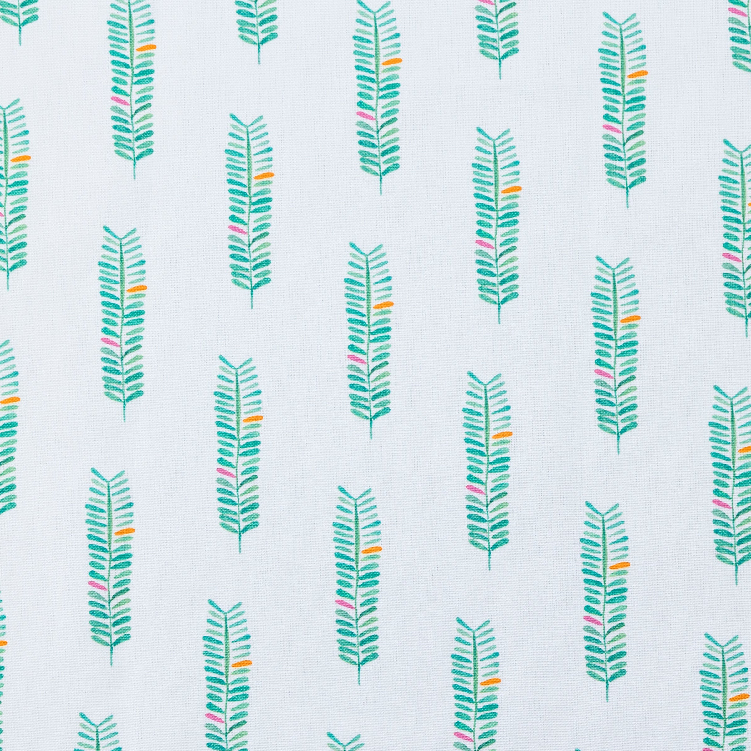 Willow Fern: Indoor/Outdoor